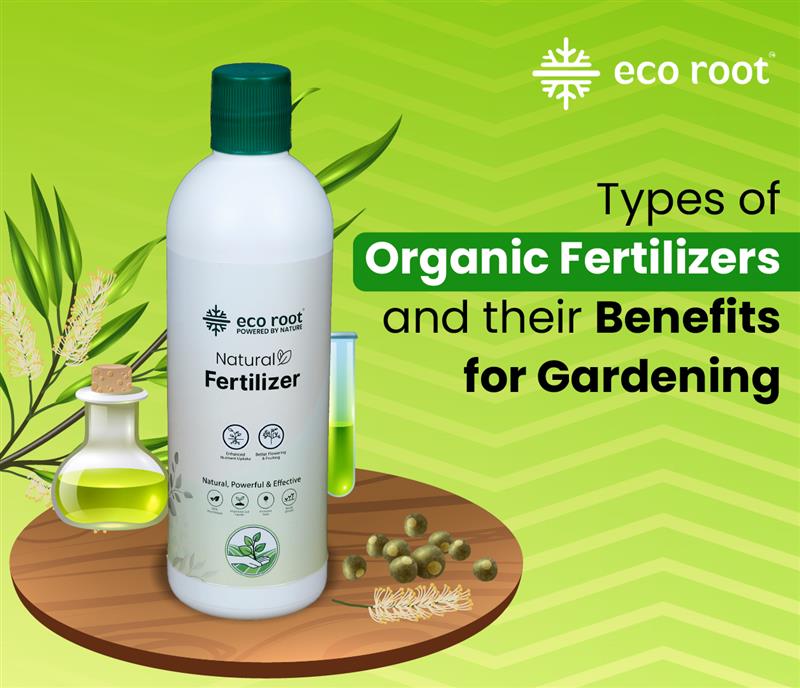 Types of Organic Fertilizers and Their Benefits for Gardening – Ecoroot
